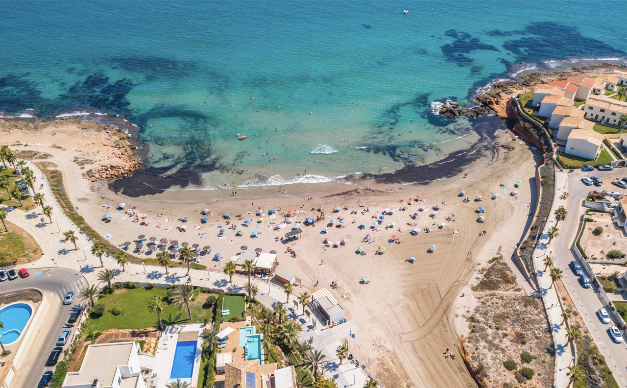Playa Flamenca News and Information | La Zenia